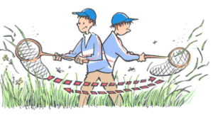 Présentation des techniques de capture d'insectes