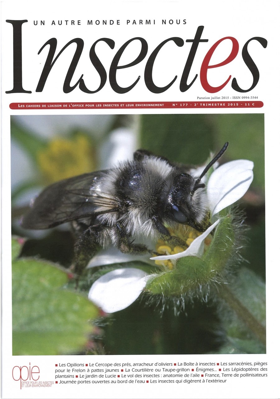 Le vol des insectes - Revue Insectes - Juillet 2015, n°177