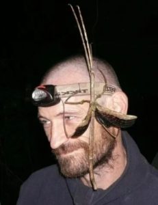 Mission Lobaye - à la recherche de Papilio antimachus en Centrafrique