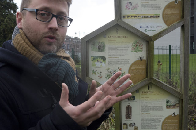 Interview de Denis Michez - Auteur d'"Abeilles d'Europe" - Editions NAP ...