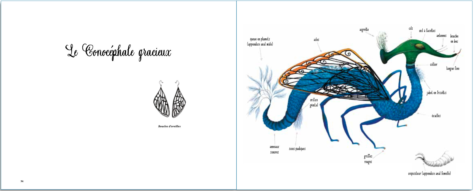 Insectoïdus de Mathilde Magnan
